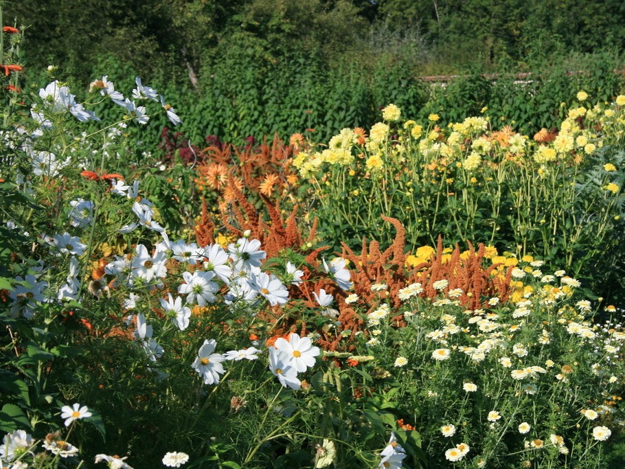 Potager fleuri de Saint-Jean de Beauregard - Beaux jardins et Potagers