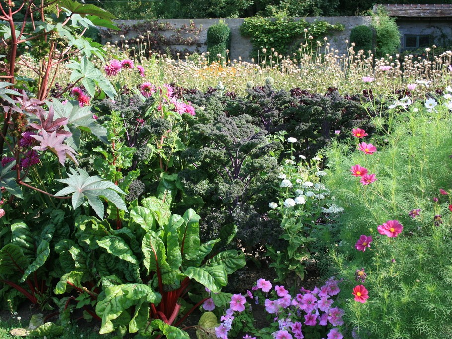 Potager fleuri de Saint-Jean de Beauregard - Beaux jardins et Potagers